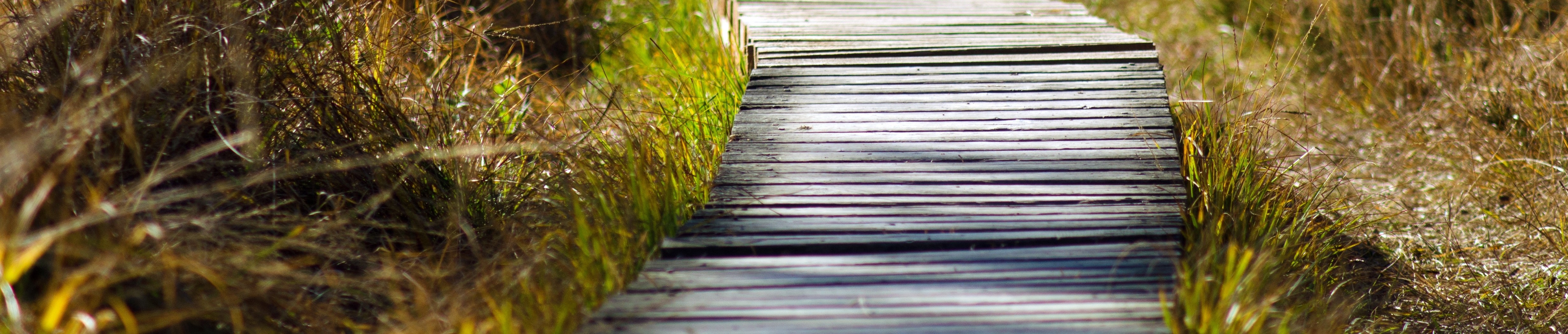 Contact – Your Path Guide Pty Ltd